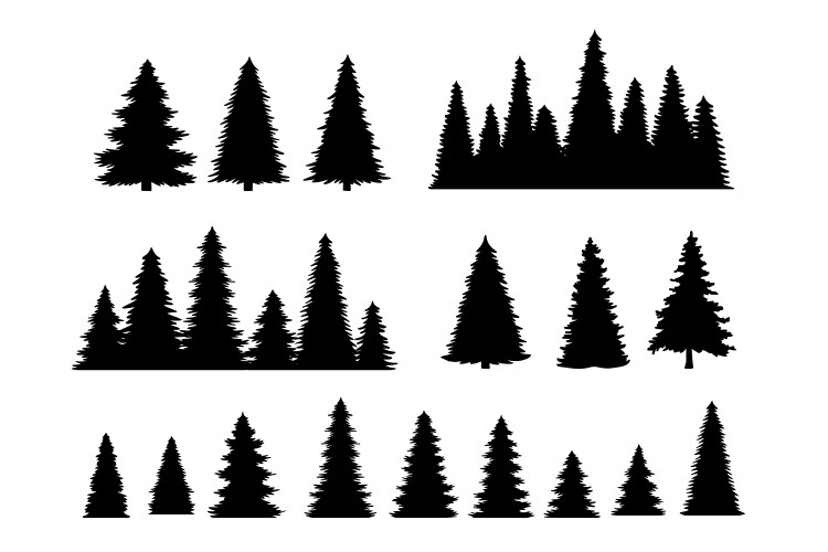 Cedar Tree Outline Vector Images (over 1,800)
