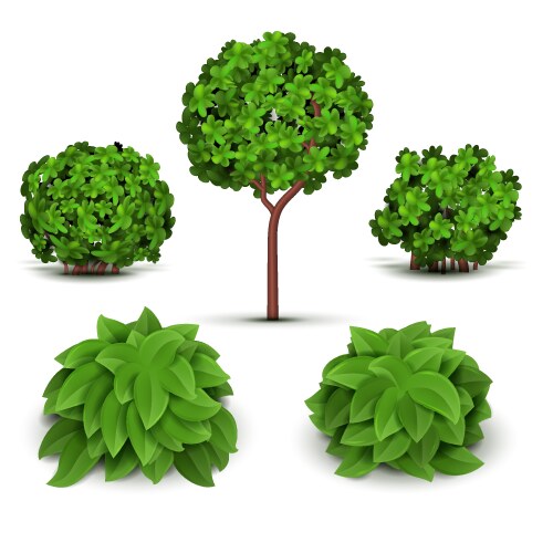 Garden bush isolated shrub hedge green Royalty Free Vector