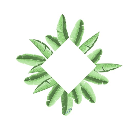 Tropical background with banana leaves Royalty Free Vector