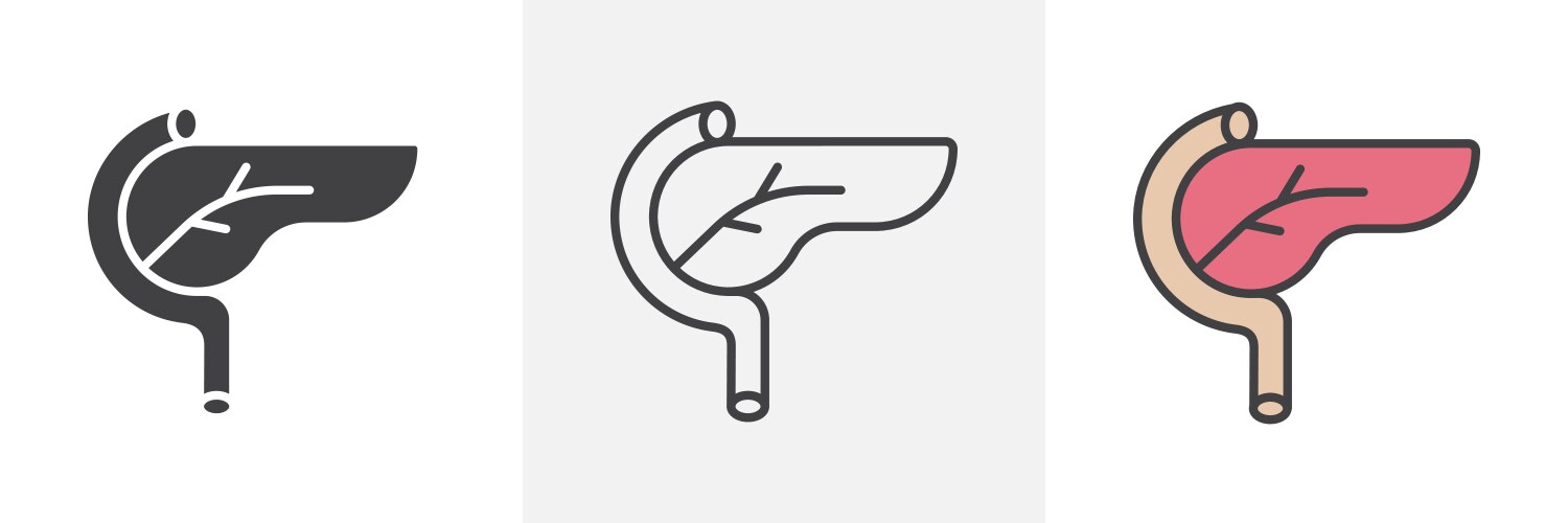 Pancreas Icon Vector Images (over 4,100)