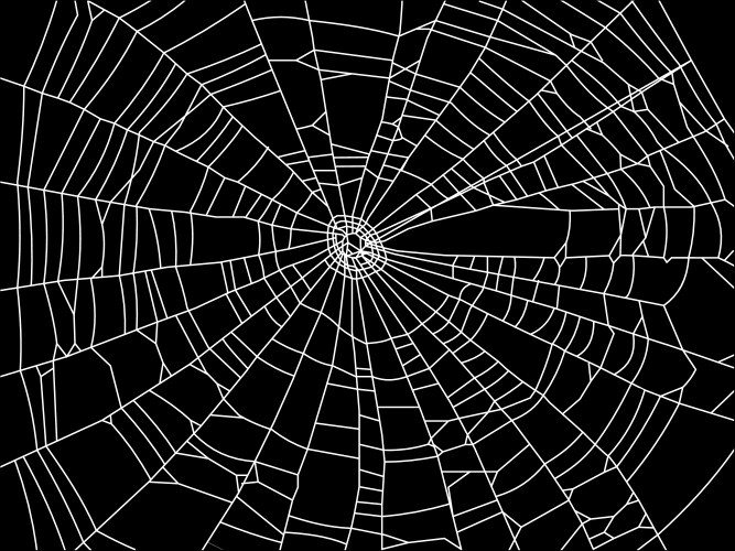 Spider Web Vector Images (over 38,000)