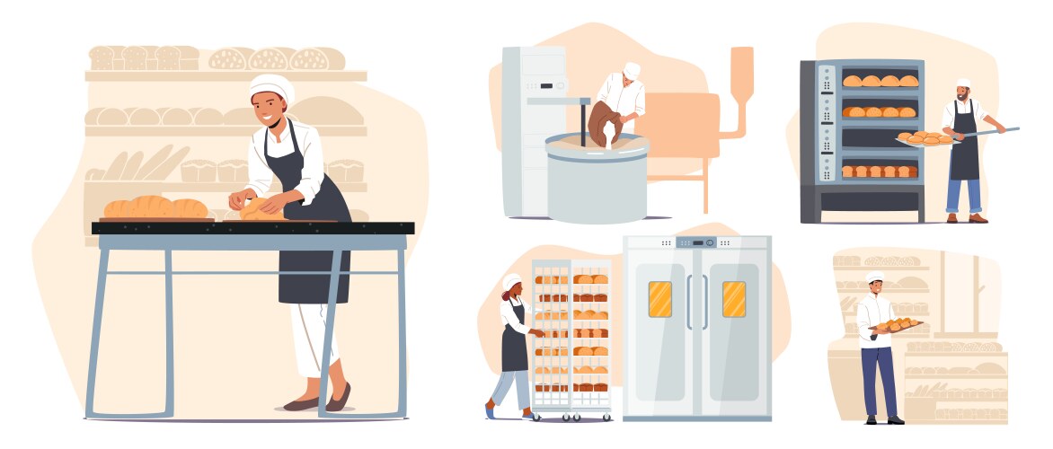 Bread making process Royalty Free Vector Image