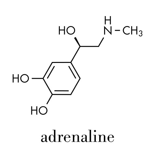 Epinephrine injector allergy medical liquid Vector Image