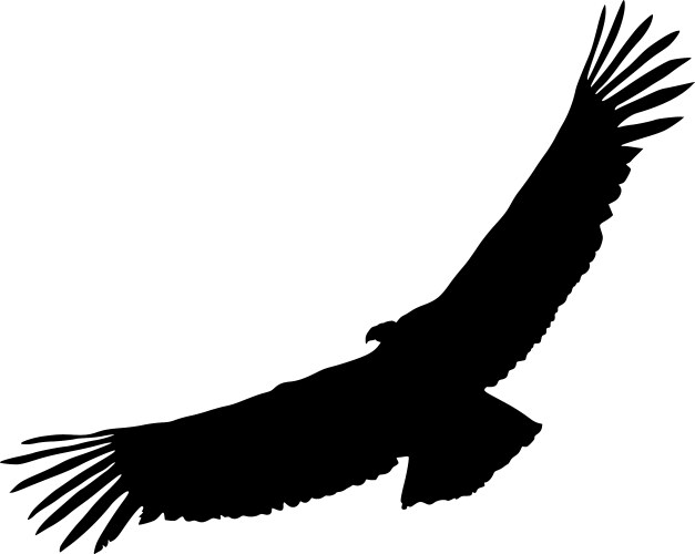Flying bird silhouette Vector Images & Graphics for Commercial Use ...