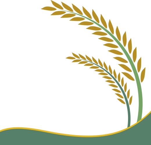 Rice Vector Images (over 90,000)