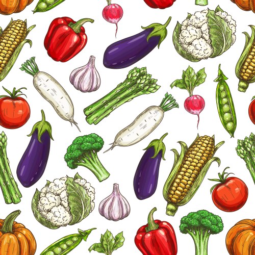 Set of vegetables Royalty Free Vector Image - VectorStock