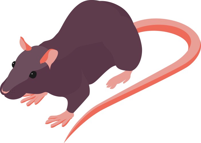 Rat Vector Images (over 30,000)