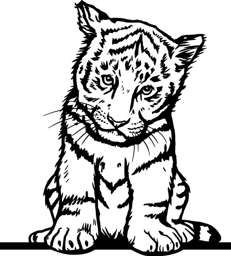 Tiger Cub Vector Images (over 2,900)