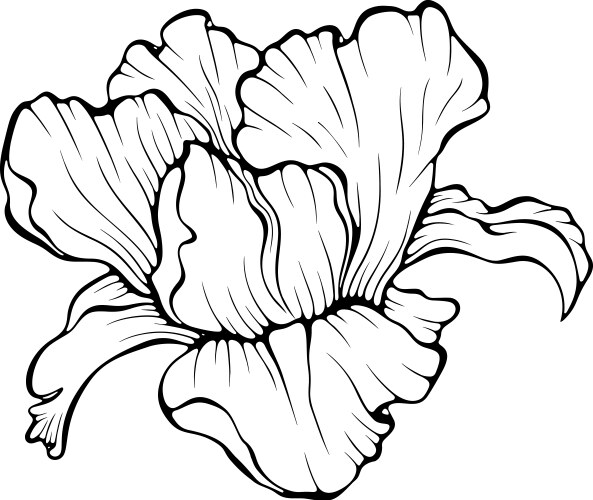 Black Line Flower Vector Images (over 290,000)