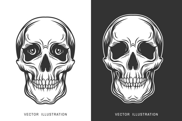 Skull Front Facing Vector Images (over 2,900)
