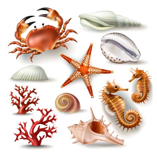 Coral Vector Images (over 74,000)