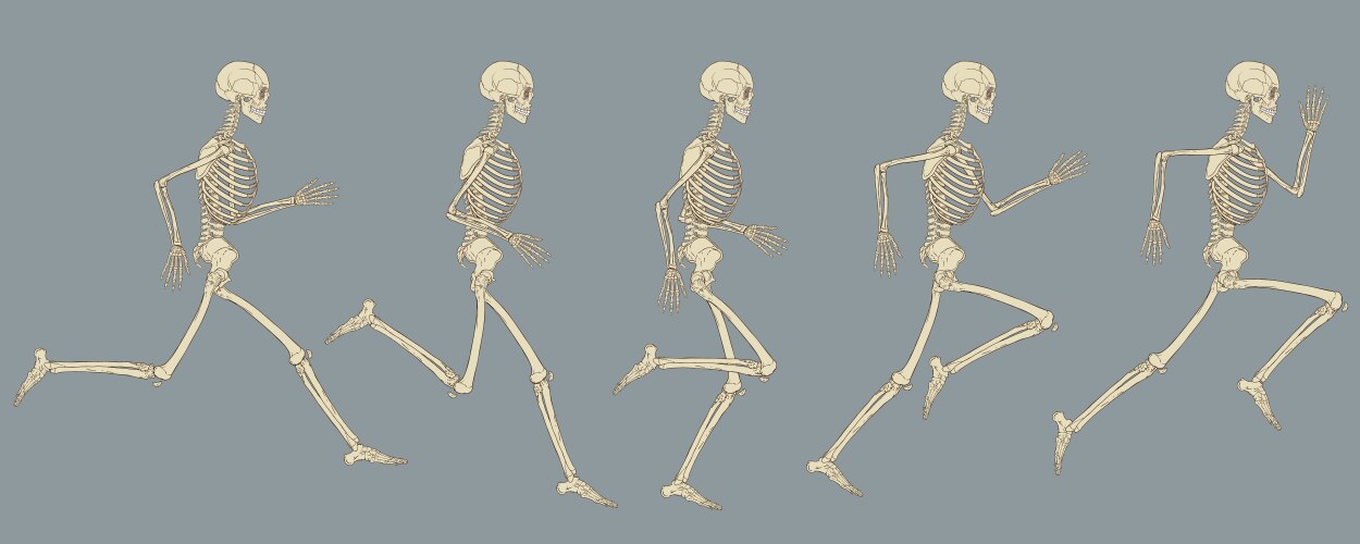 Running Skeleton Vector Images (over 920)