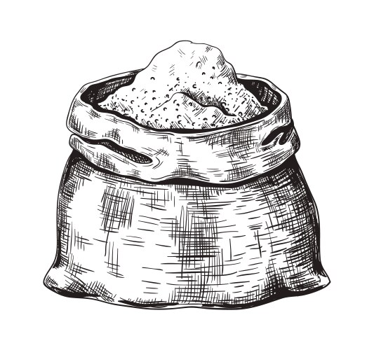 Hand drawn corn sweet maize cobs grains Royalty Free Vector