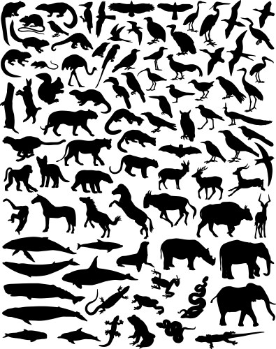 Animal Outlines Vector Images (over 390,000)