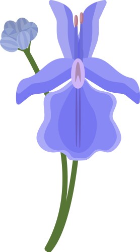 Iris Vector Images (over 22,000)