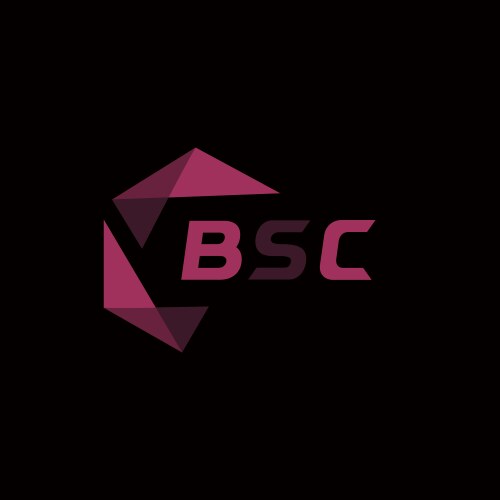 Bsc Logo Vector Images (52)