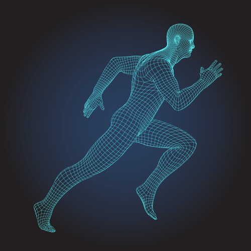 3d wireframe human body Royalty Free Vector Image