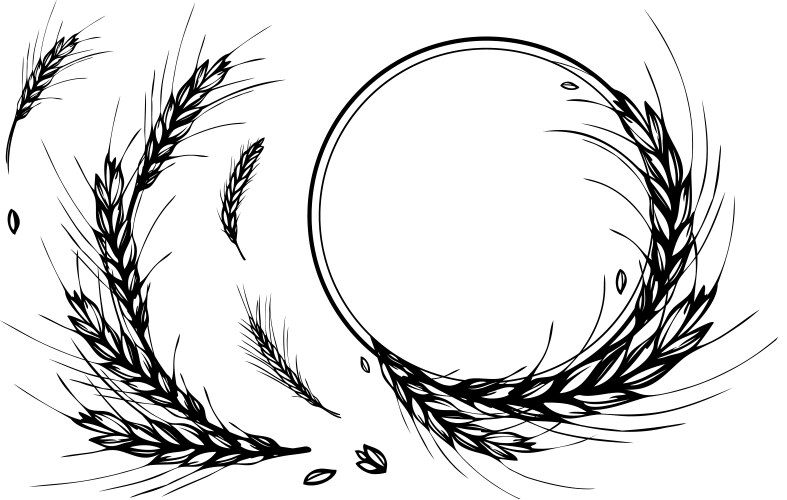 Barley Vector Images (over 37,000)