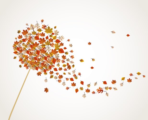 Autumn transparent leaves fall season background Vector Image