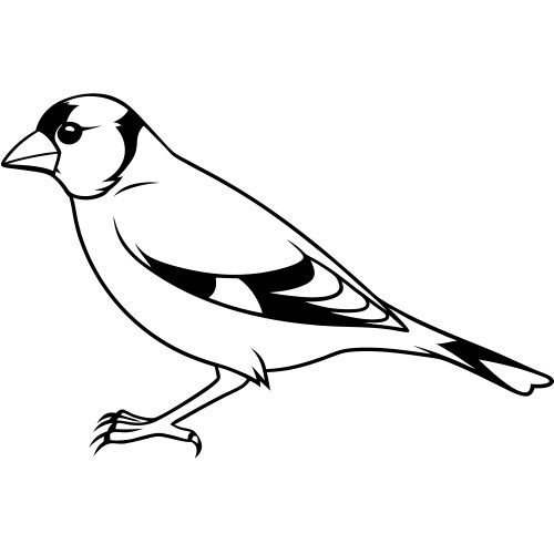 Diving Bird Silhouette Vector Images (over 240)