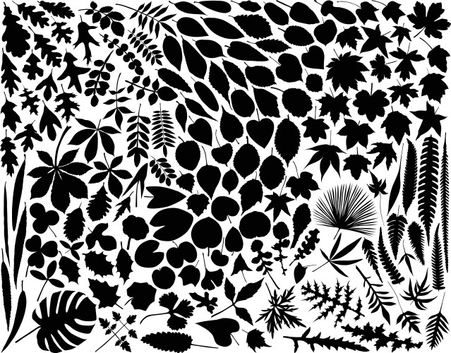 Leaves Vector Images (over 760,000)