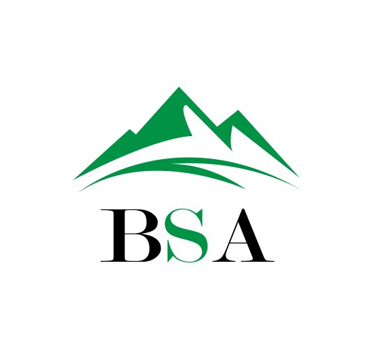 Bsa Logo Vector Images (56)