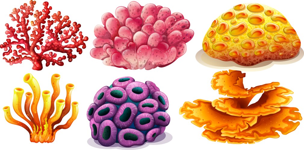 Coral Vector Images (over 74,000)