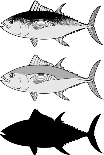 Tuna Vector Images (over 32,000)