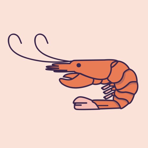 Prawn Draw Vector Images (over 2,100)
