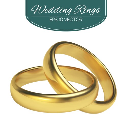 Wedding rings Royalty Free Vector Image - VectorStock