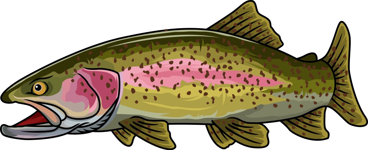 Rainbow trout fishing logo ima Royalty Free Vector Image