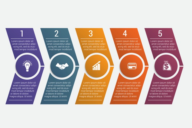 Infographic on five positions Royalty Free Vector Image