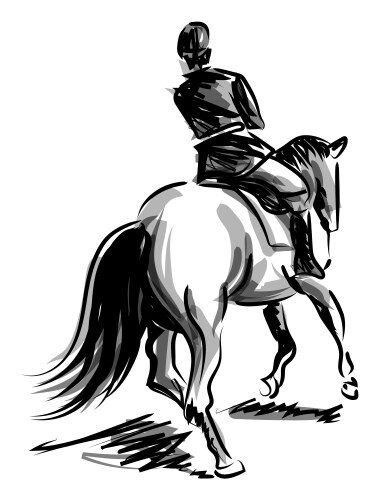 Horse Rider Sketch Vector Images (over 1,100)
