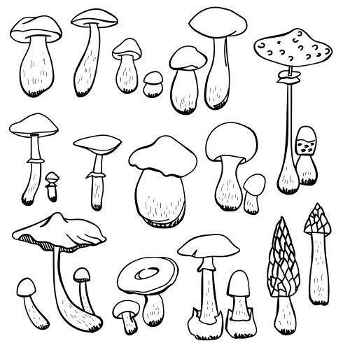Mushroom Outline Vector Images (over 16,000)