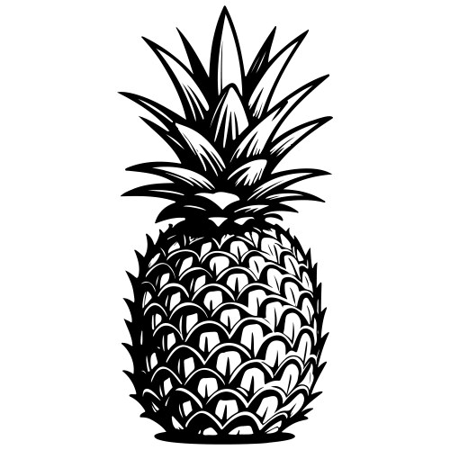 Pineapple hand drawn line transparent background Vector Image