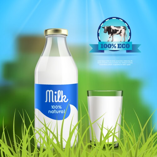 Milk dairy products infographic layout poster Vector Image