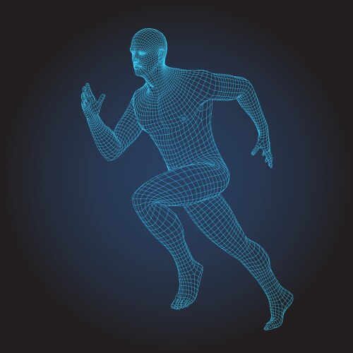 3d wireframe human body Royalty Free Vector Image