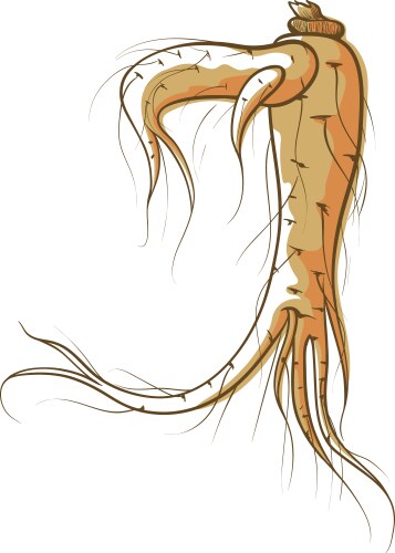 Cartoon Plant Root Vector Images (over 12,000)