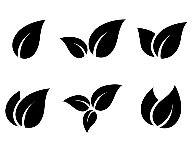 Set of black leaf icons Royalty Free Vector Image