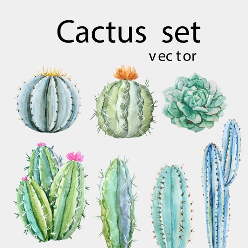 Cactus Vector Images (over 90,000)