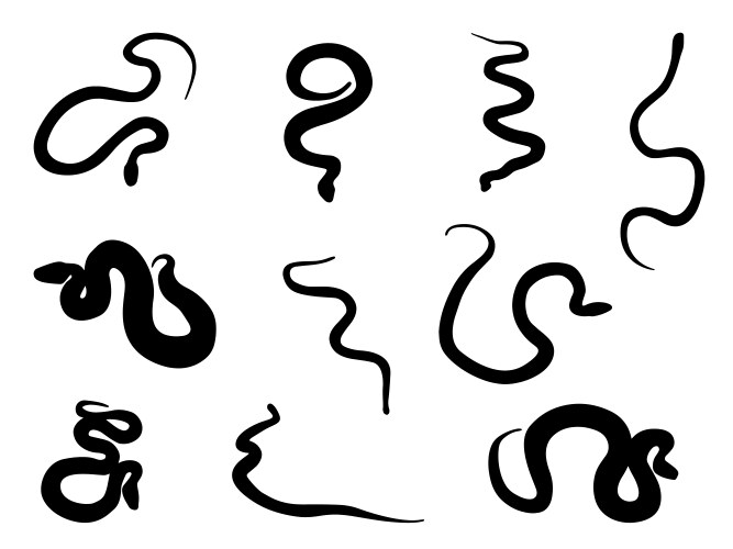 Snake Outline Vector Images (over 8,100)