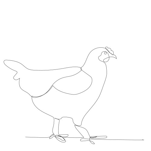 Chicken Line Art Vector Images (over 17,000)