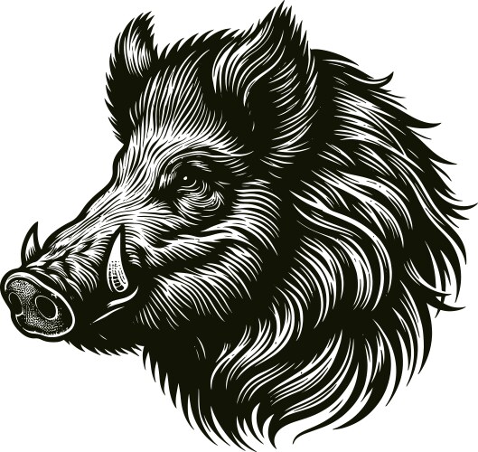 Wild boar Royalty Free Vector Image - VectorStock