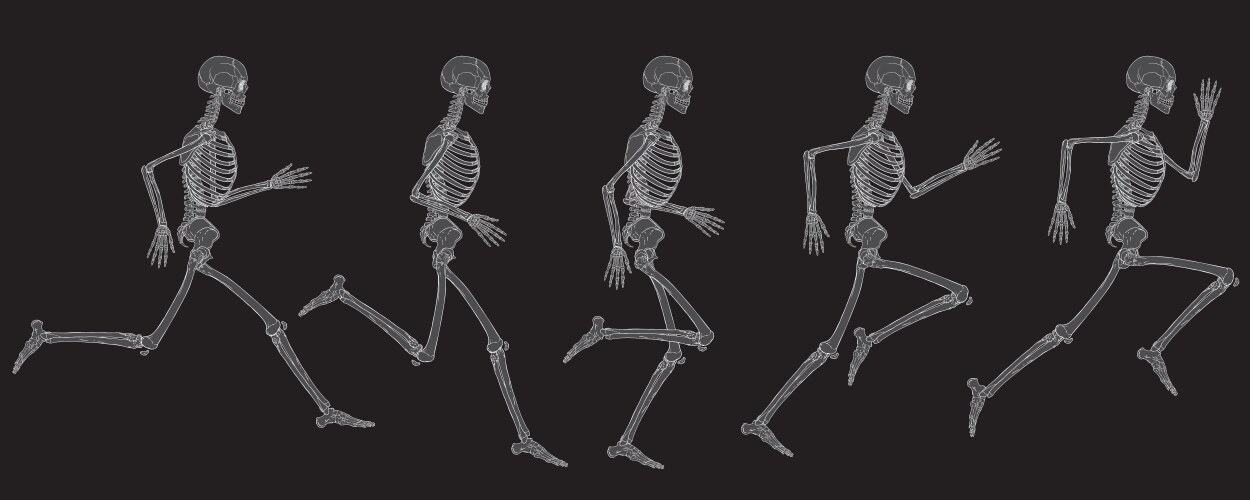 Running Skeleton Vector Images (over 920)