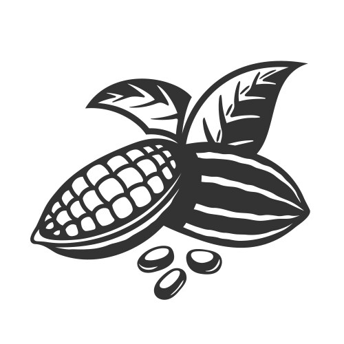 Cocoa frame superfood drawing template Royalty Free Vector