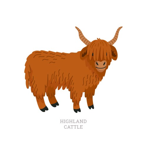 Highland Cow Cartoon Vector Images (over 610)