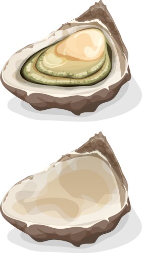 Oyster Vector Images (over 17,000)