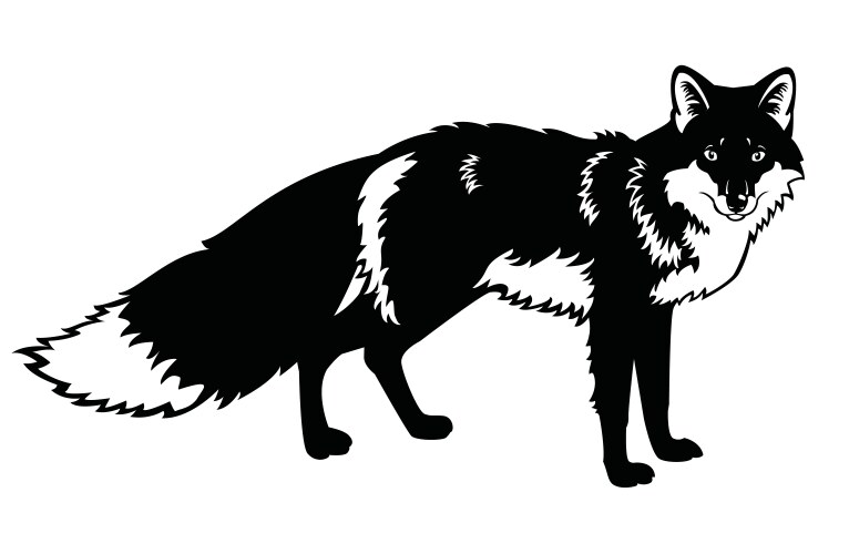 Black and White Fox Vector Images (over 7,400)