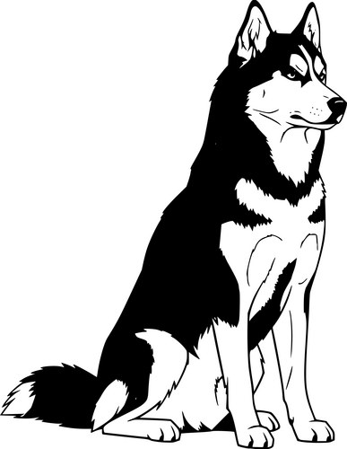 Black and White Siberian Husky Portrait – Royalty-Free Vector | VectorStock
