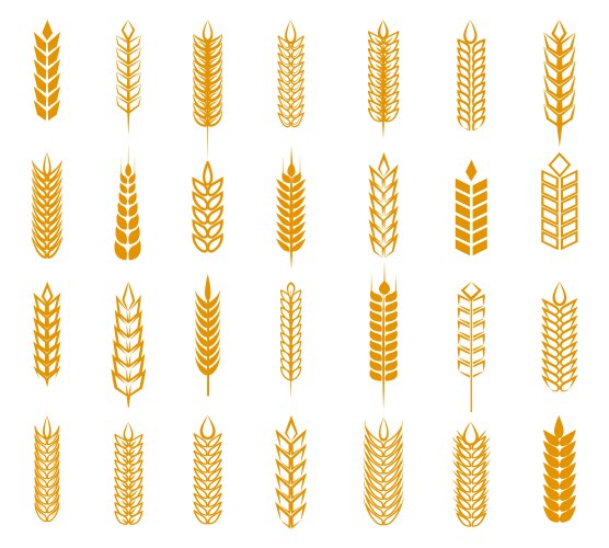 Barley Vector Images (over 37,000)